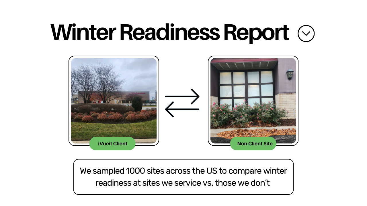 The Winter Readiness Report: Insights from iVueit's Nationwide Survey - iVueit